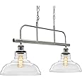 Long Life Lamp Company 2 Light Pendant Light Chrome Satin Nickel Retro ...
