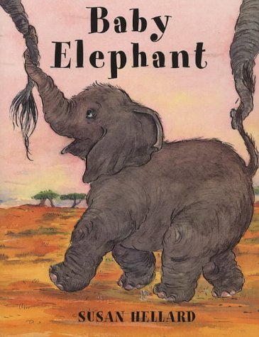 Baby Elephant (Baby): Amazon.co.uk: Hellard, Susan: 9781853406416: Books