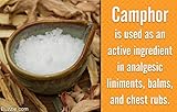 Camphre : propriétés, utilisation, contre-indications