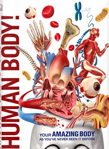 Human Body Knowledge Encyclopedia : Rona Skene: Amazon.in: Books