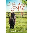 Little Alf: The true story of a pint-sized pony who found his forever ...