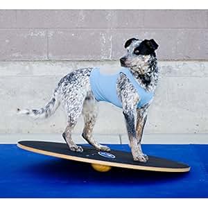 FitPAWS 20 in. Canine Wobble Board by FitPAWS: Amazon.co.uk: Pet Supplies