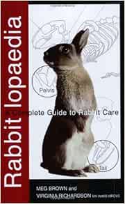 Rabbitlopaedia: A Complete Guide to Rabbit Care: Amazon.co.uk: Meg ...