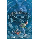 Beaver Towers: The Witch's Revenge : Hinton, Nigel: Amazon.de: Bücher