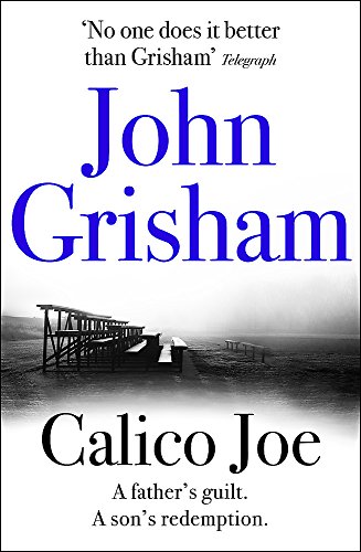Calico Joe: An unforgettable novel about childhood, family, conflict ...