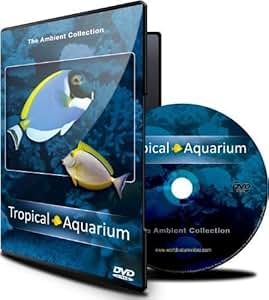 Aquarium DVD -Tropical Aquarium 2 Hours of Award Wining Fish Tanks ...