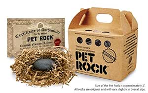 Pet Rock…Authentic and Approved by The Original Creator Gary Dahl ...