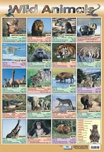 Wild Animals - Educational Poster Chart: Amazon.co.uk: Kitchen & Home