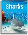 Sharks (Usborne Discovery): Amazon.co.uk: Jonathan Sheikh-Miller: Books
