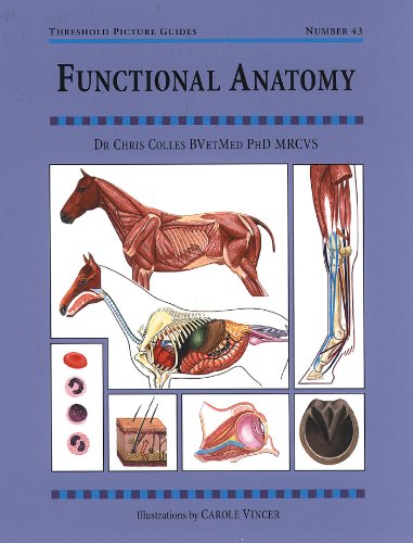 CHRIS COLLES FUNCTIONAL ANATOMY livre pdf - Amari pdvlivreCreations