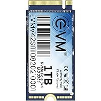 Amazon.in: Buy EVM 256GB M.2 NVMe (2230) Internal SSD - PCIe Gen 3x4, Up to 3000MB/s Read ...