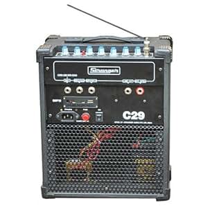 Stranger Musical Amplifier with Microphone C29: Amazon.in: Musical ...