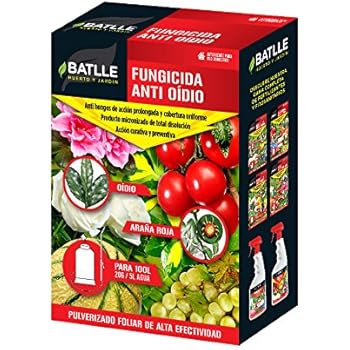 Bayer Garden Concentrated Fungus Fighter, 125 ml: Amazon.co.uk: Garden ...
