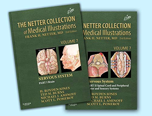 Buy The Netter Collection of Medical Illustrations - Nervous System ...