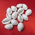 Buy Aapkidukan Natural White Kawdi/Kaudi/Kowdi/Cowrie/Koudi Shells- Set ...