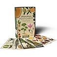 Arboretum Postcards: by illustrator Katie Scott (Welcome To The Museum): Amazon.co.uk: Royal ...