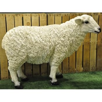 Full Life Size Sheep: Amazon.co.uk: DIY & Tools