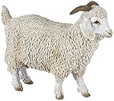 Caprette nane - Pecore e Capre