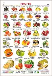Buy Spectrum Educational Wall Chart (Two-In-One) : ( Fruits ...