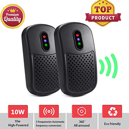 Mouse/Rat Control » Shetland's Garden Tool Box