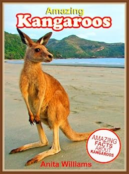 AMAZING KANGAROOS: A Children's Book About Kangaroos Facts, Figures and Pictures: (Animal Books ...