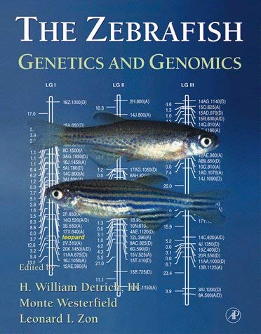 Amazon.in: Buy THE ZEBRAFISH : GENETICS AND GENOMICS Book Online at Low ...