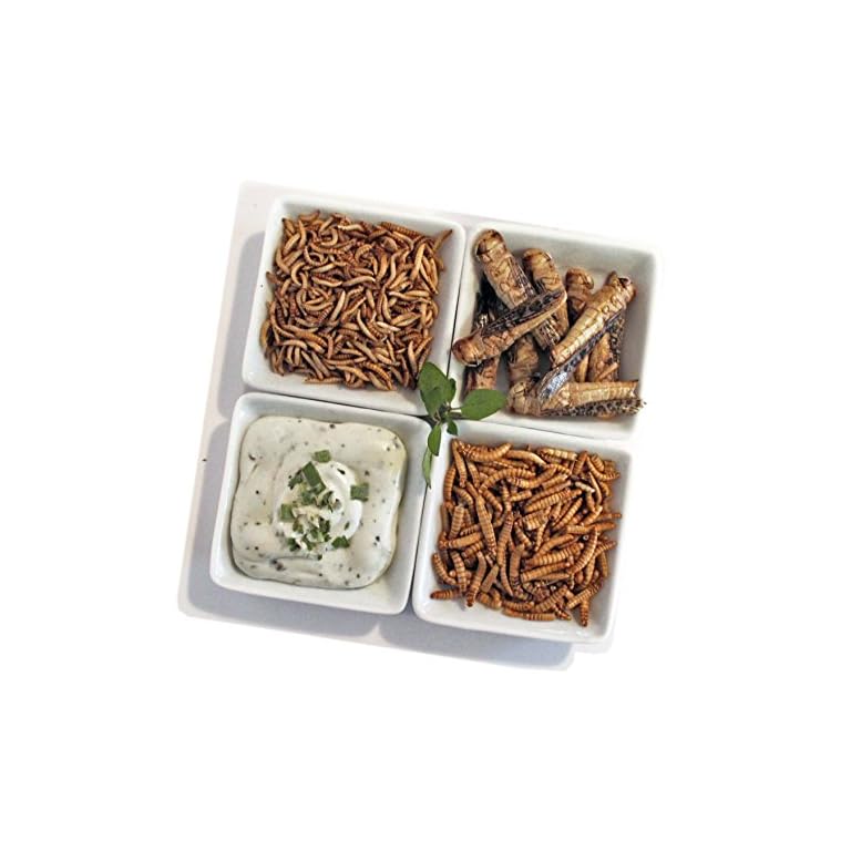 Essbare Insekten Mischung von ‘SNACK insects’ – 25g Insekten zum Essen ...