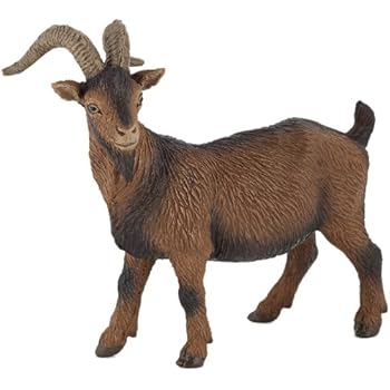 Papo - 51044 - Figurine - Animaux - Verrat: Amazon.fr: Jeux et Jouets