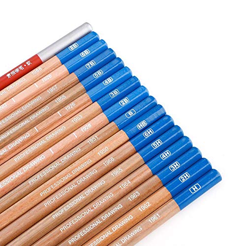 Skizzierbleistift-Set, 48 Stück Scholine Sketch Holzkohle-Bleistift ...