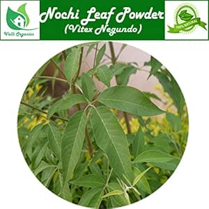 Buy Valli Organics Nochi Leaves Powder 100gm Online at Low Prices in ...