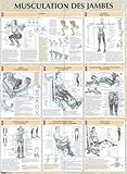 Amazon.fr - Poster bodybuilding anatomie - Frédéric Delavier - Livres