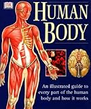Body: An amazing tour of human anatomy: Amazon.co.uk: Richard Walker ...