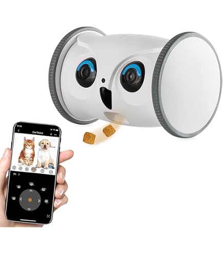 Ebo Robot Mini Robot Camera The Patrol Bot, Camera, Robot Camera On ...