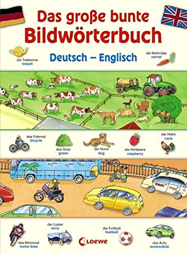 Das große bunte Bildwörterbuch Deutsch - Englisch : Braun, Peter, Bietz ...