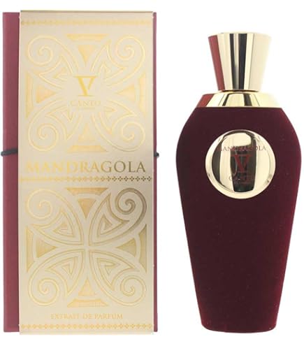 V Canto Alibi Extrait De Parfum 100Ml : Buy Online at Best Price