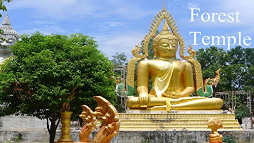 Forest Temple Photo Book Of Buddhist Holy Places Buddhist Pilgrimage ...