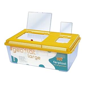 Ferplast Geo Flat Tank Clear Plastic Terrarium Large: Amazon.co.uk: Pet ...