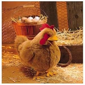 Red Hen Puppet: Folkmanis Puppets: Amazon.co.uk: Toys & Games