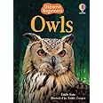 Owls (Usborne Beginners) : Emily Bone, Jenny Cooper: Amazon.co.uk: Books