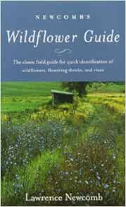 Newcomb's Wildflower Guide: An Ingenious New Key System for Quick ...