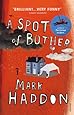 A Spot of Bother: Amazon.co.uk: Mark Haddon: 9780099506928: Books