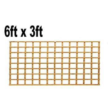 Pack of 2 no 6ft x 3ft garden trellis: Amazon.co.uk: Garden & Outdoors