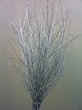 Decorative Coloured Birch Twigs and branches - White - 25 Stems: Amazon ...
