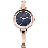 Buy Titan Raga Viva Analog Rose Gold Dial Women's Watch-NL2577WM01 at ...