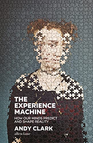 Buy The Experience Machine: How Our Minds Predict and Shape Reality ...