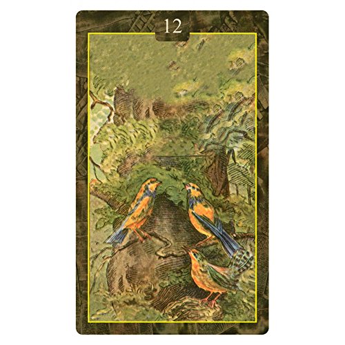 Lenormand Oracle Cards, 36 Cartes de Voyance avec Instruction ...