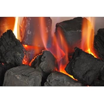 10 Realistic Replacement Gas Fire Coals - High Quality Ceramic Product ...