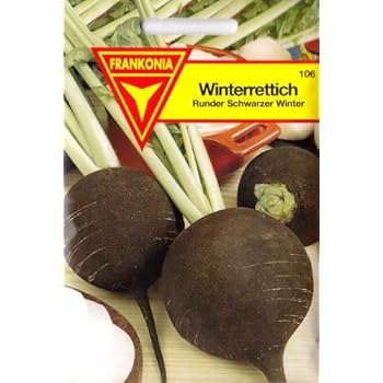 Winterrettich, Rettich, Runder Schwarzer Winter, Samen für ca. 4 lfm ...