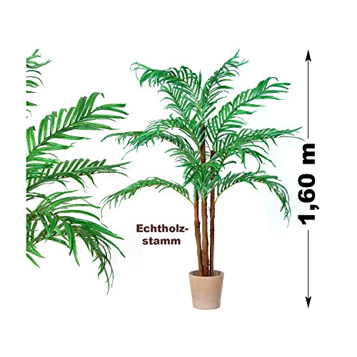 Kokospalme, Echtholzstamm, Kunstpalme, Kunstpflanze, Kunstbaum - 160cm - Zimmerpflanzen-Online.de