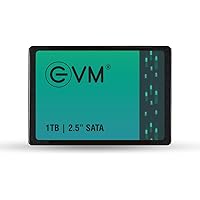 Amazon.in: Buy EVM 1TB M.2 (2280) SATA Internal SSD - 550MB/s Read & 370MB/s Write - 5-Year ...